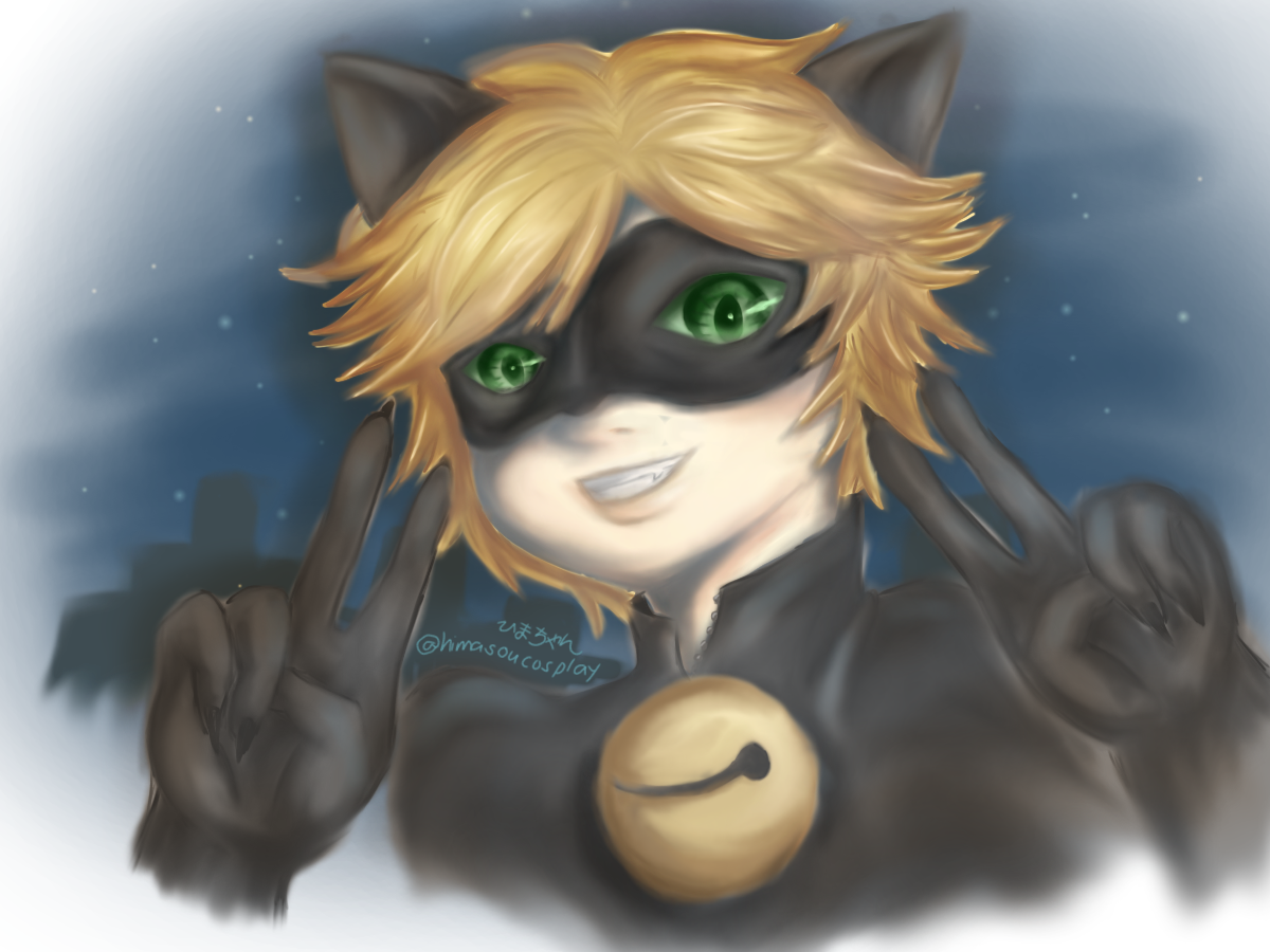 Cat Noir - ibisPaint