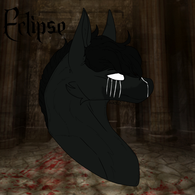 - Eclipse Headshot - - ibisPaint