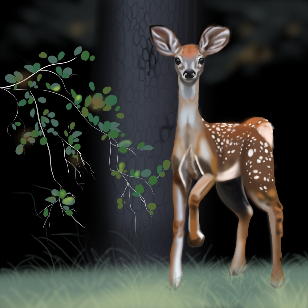 Beautiful deer! - ibisPaint