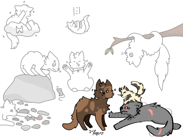WARRIOR CATS COLLABBBB - ibisPaint