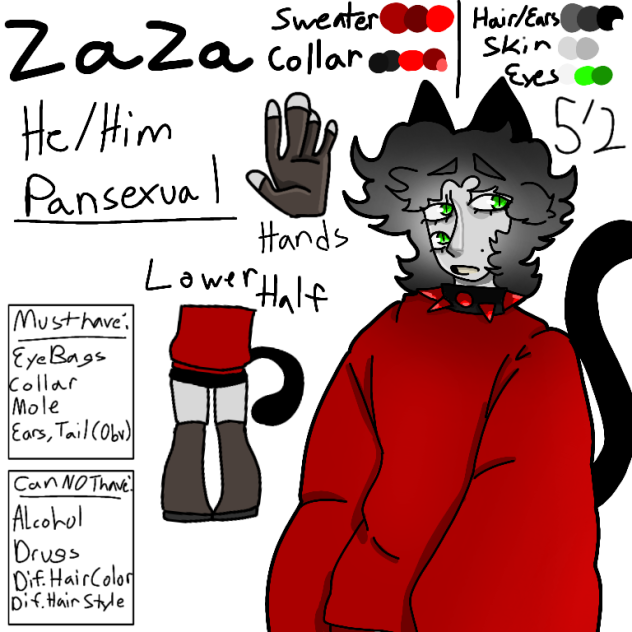 Zaza (lazy) Ref - ibisPaint
