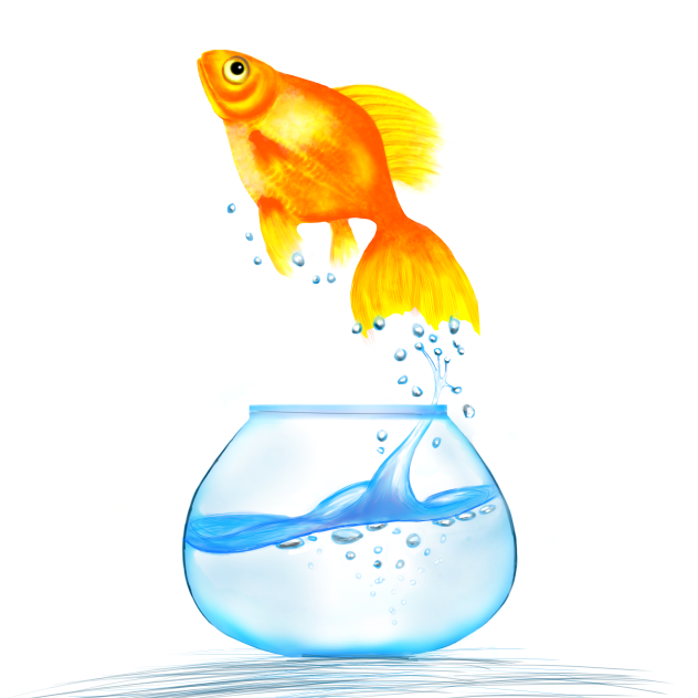 Gold Fish - ibisPaint