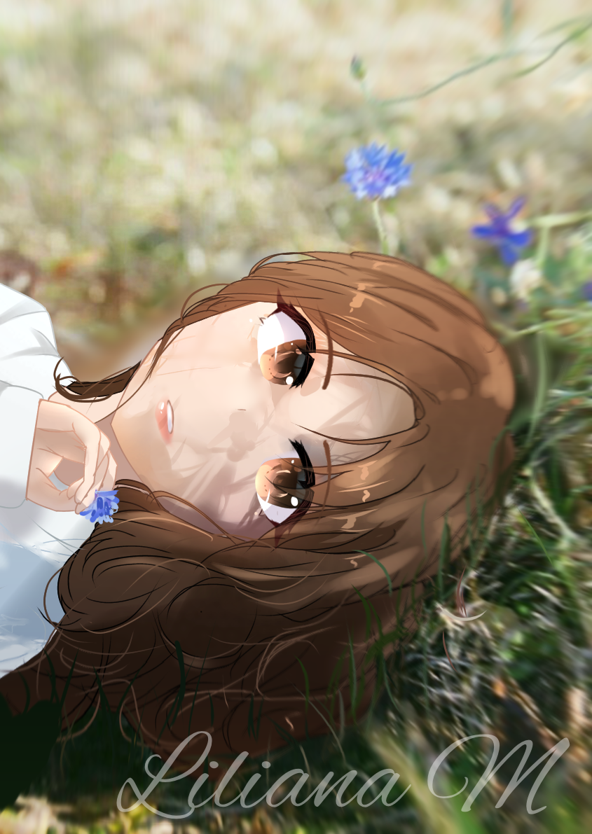 Flowery Field - ibisPaint