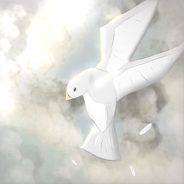 Bird Study 🕊️ (details) - ibisPaint