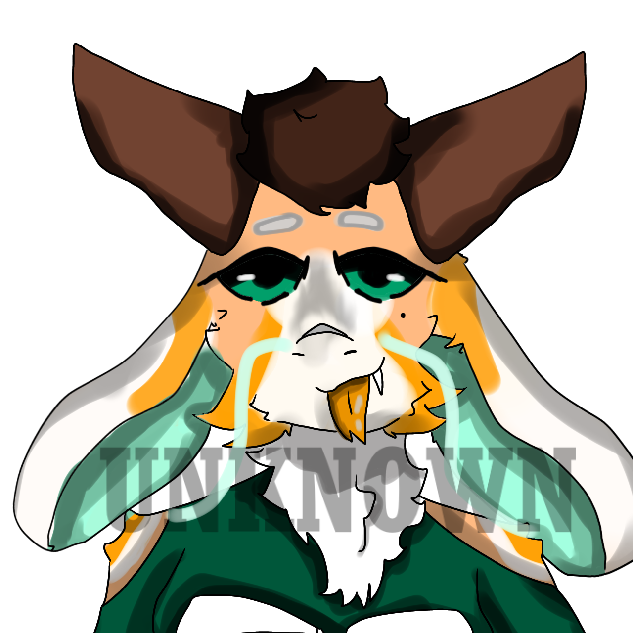 REQUEST FROM Debbie HEMPHILL! - ibisPaint