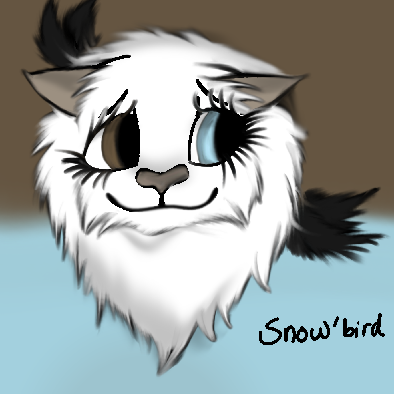 Snow’bird ( warriors oc ) - ibisPaint