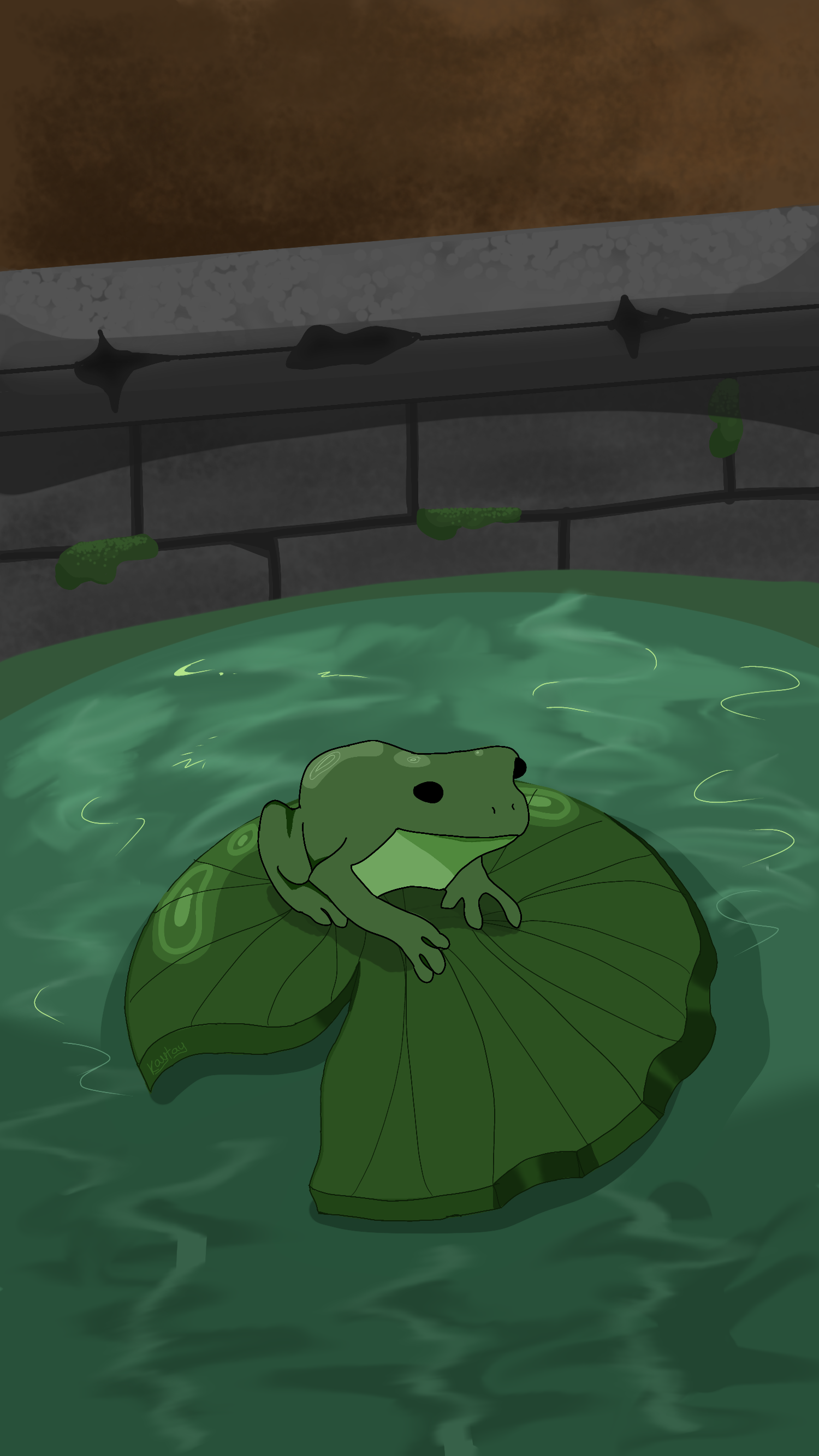 Frog - ibisPaint