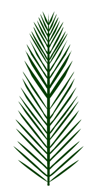 Nipa palm leaf pattern - ibisPaint