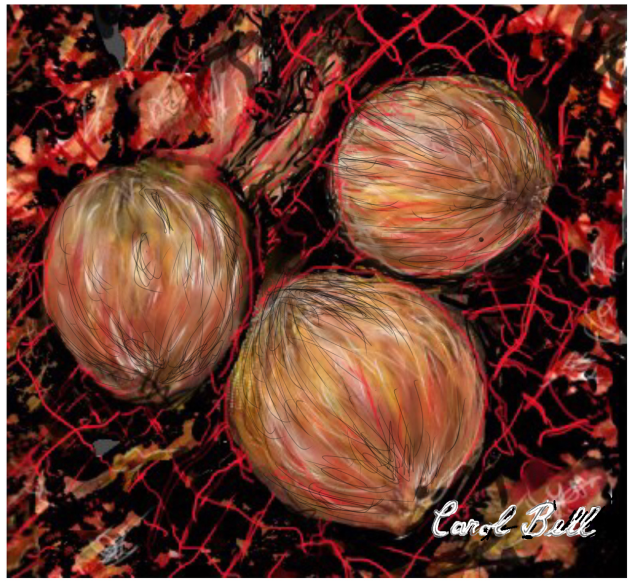 Onions 2 - ibisPaint