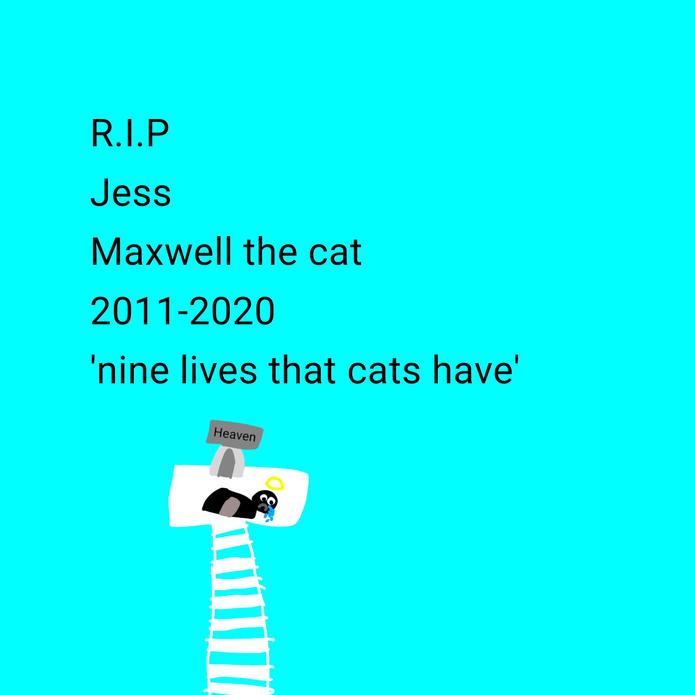 R.I.P Maxwell The Cat also known has jes - ibisPaint