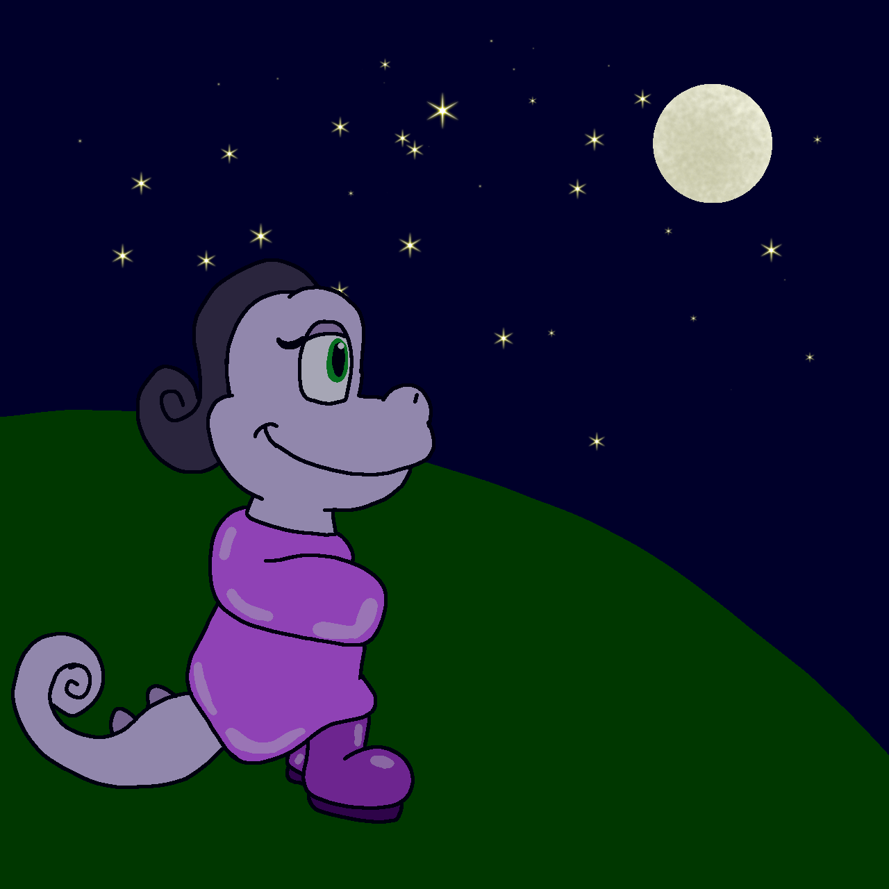 Night sky lights and shine (stars) - ibisPaint
