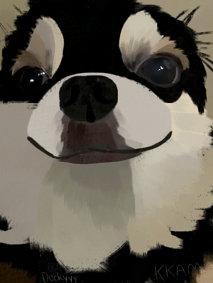 kkami - ibisPaint