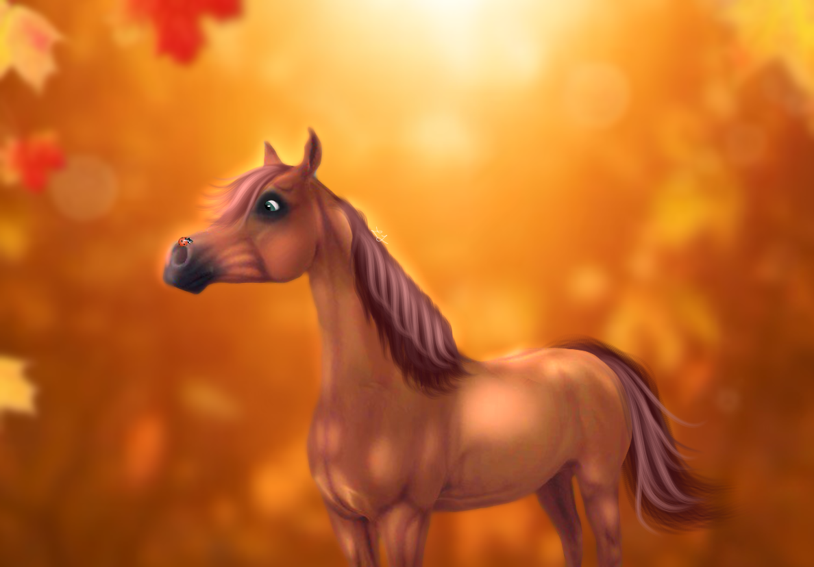 Arabian horse automn - ibisPaint