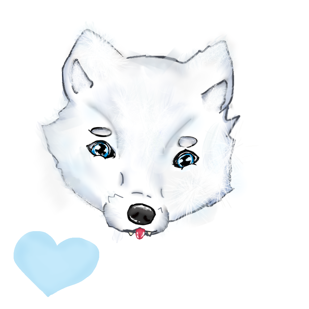 Arctic fox - ibisPaint
