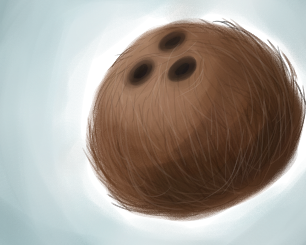 coconut - ibisPaint