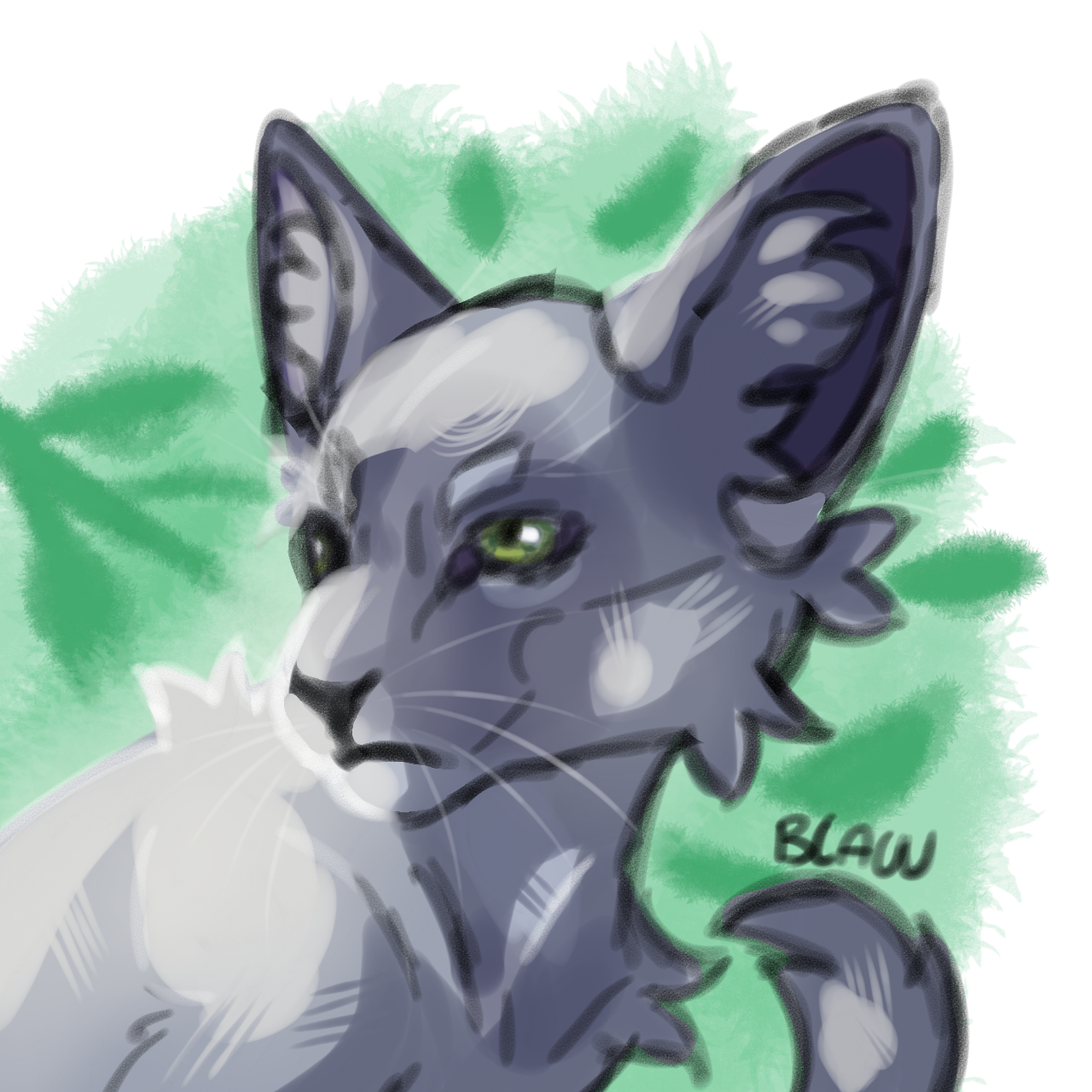 Cat bust! - ibisPaint