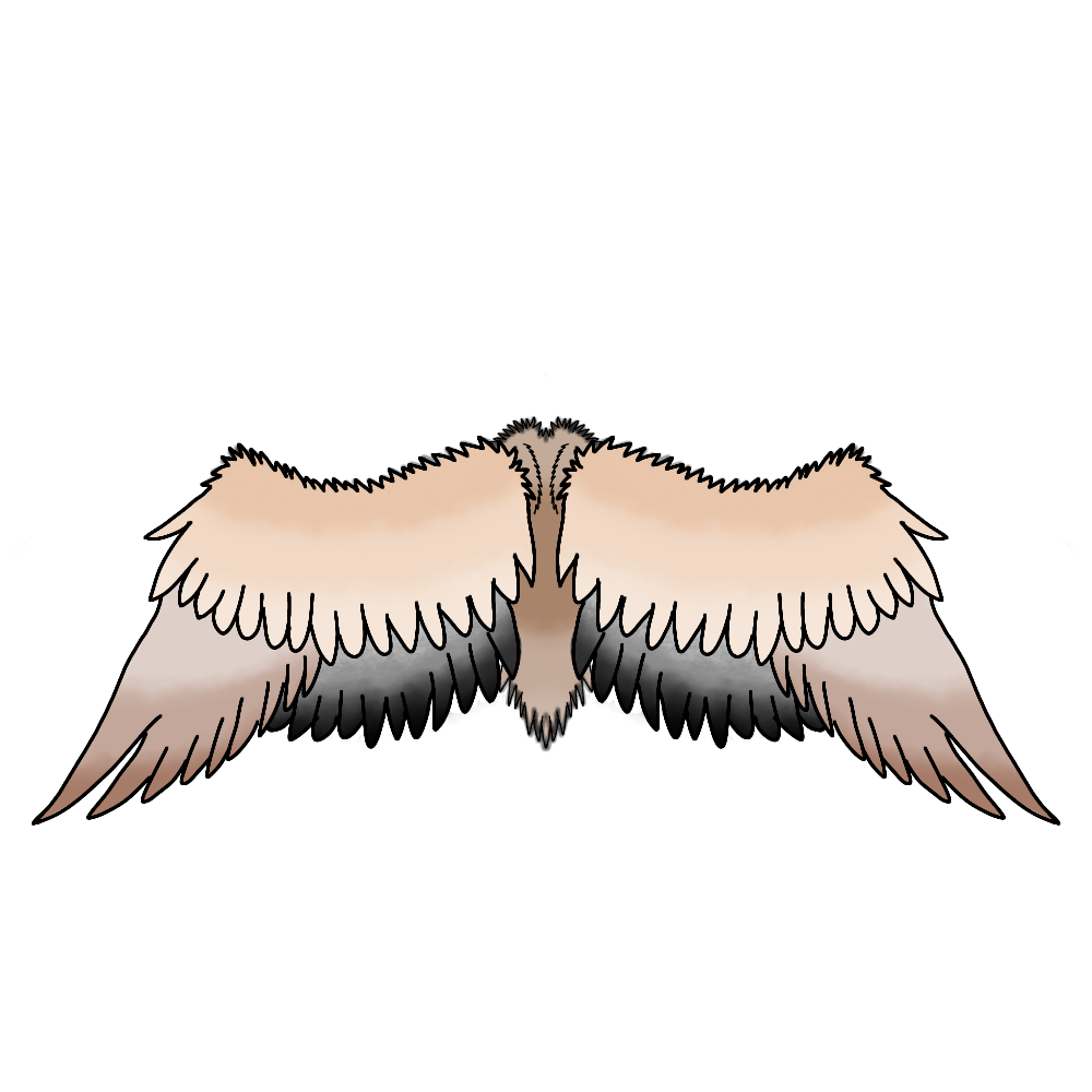 wings - ibisPaint