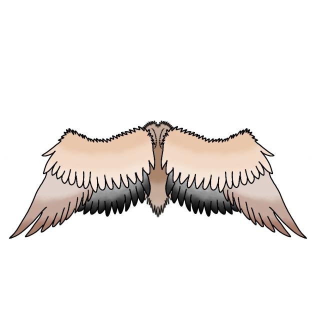 wings - ibisPaint