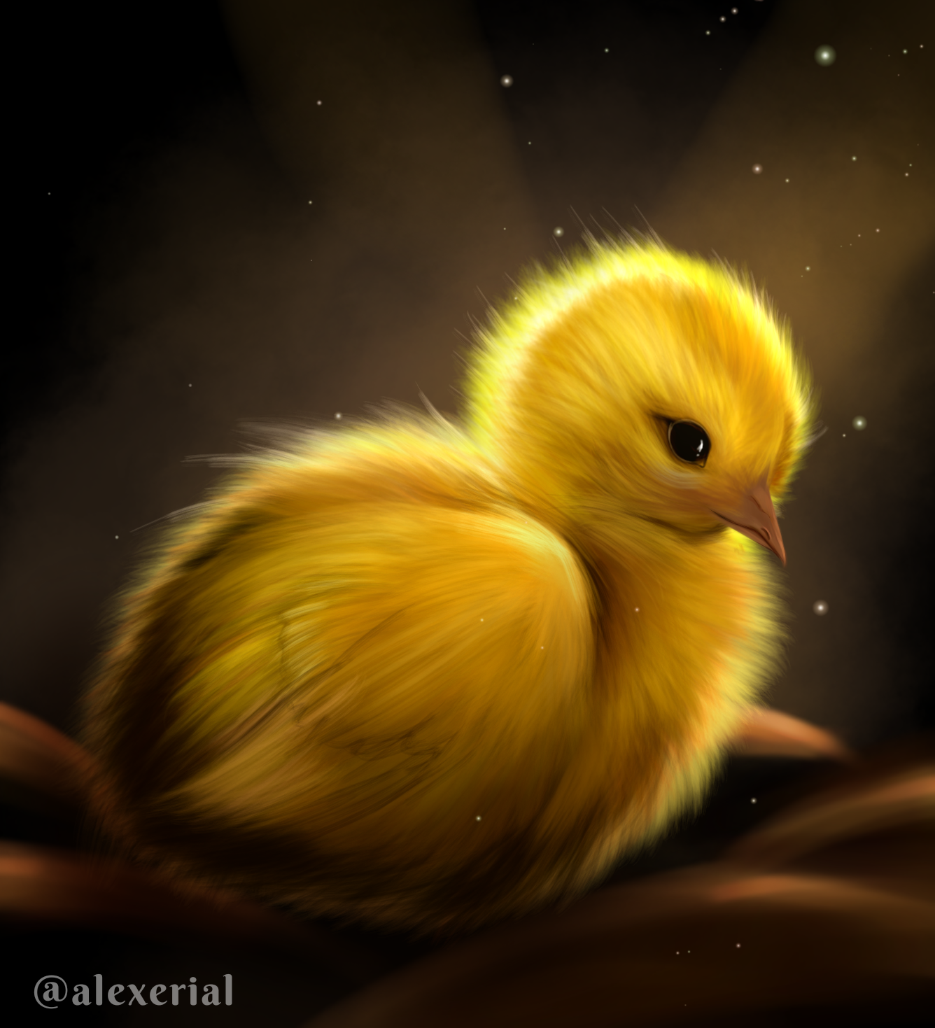 art request - ibisPaint