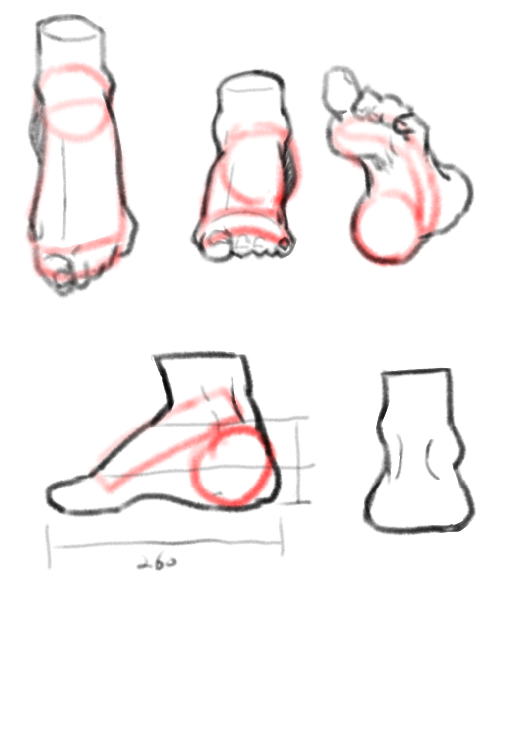 kind draw study 1.25 - ibisPaint