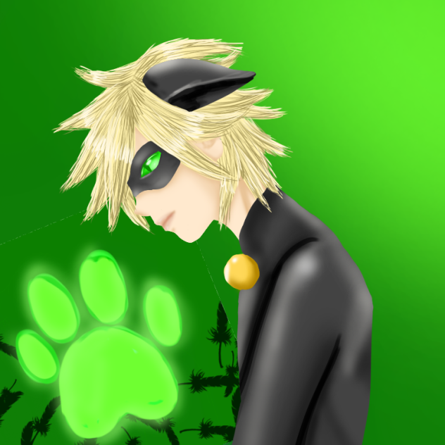 Cat Noir - ibisPaint