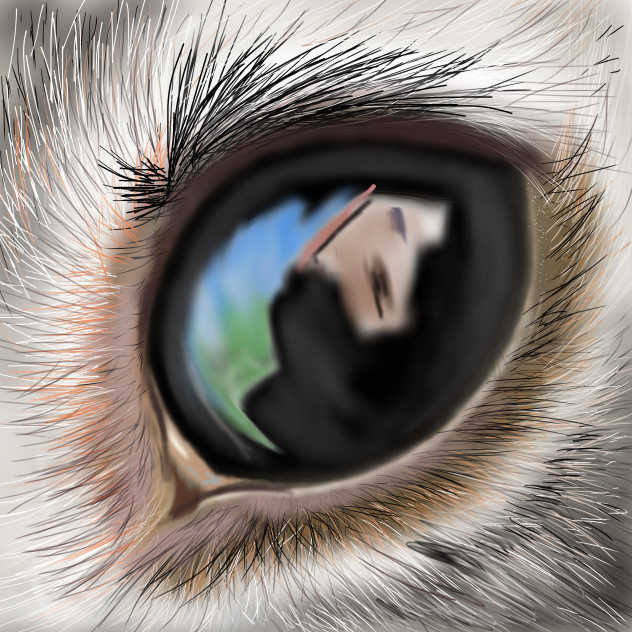 Ojo de conejo - ibisPaint