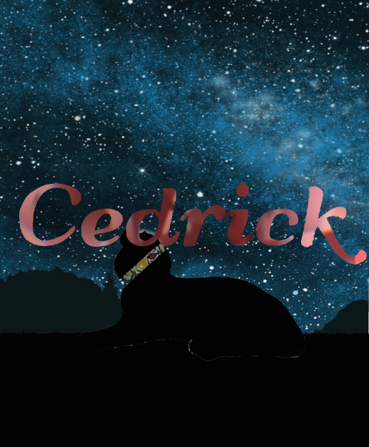 CEDRICK Calligraphy design - ibisPaint
