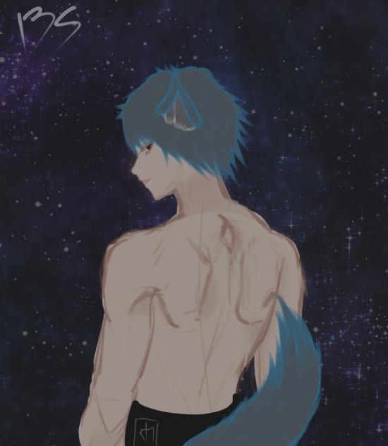 wolf night sky - ibisPaint