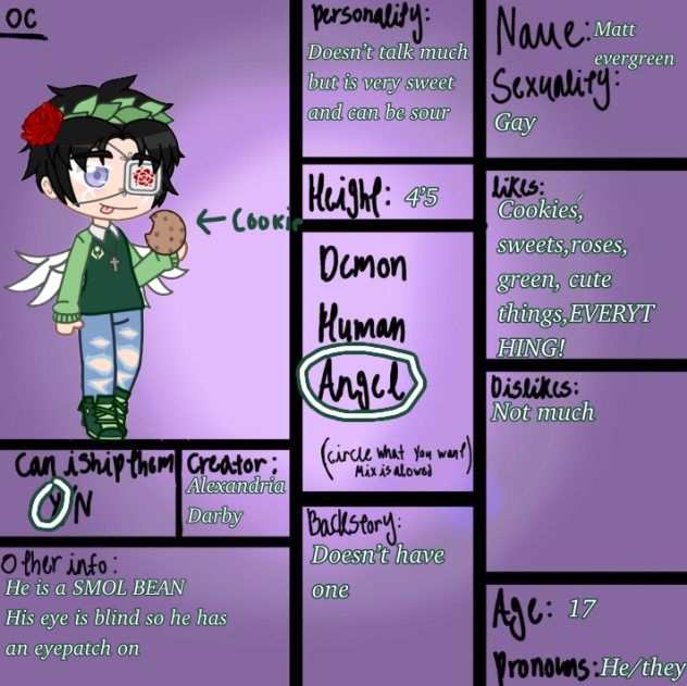 MATT EVERGREEN - ibisPaint