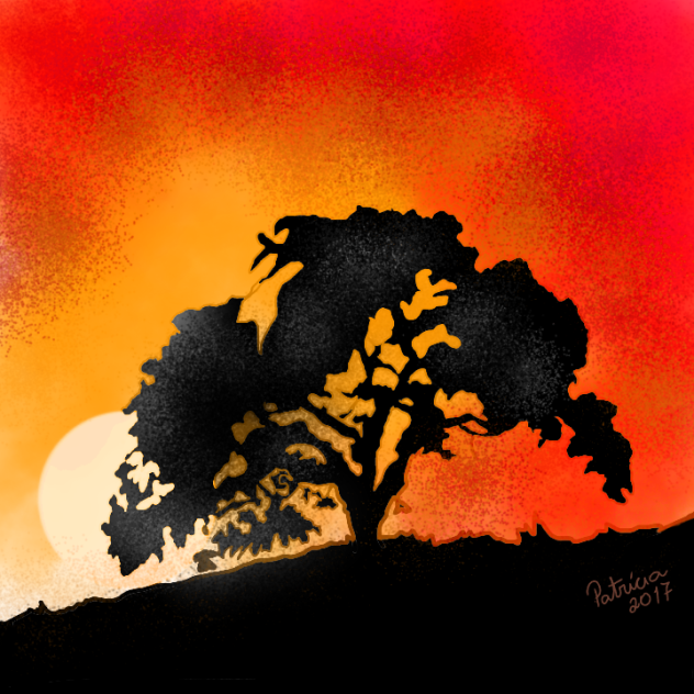 sunset tree - ibisPaint