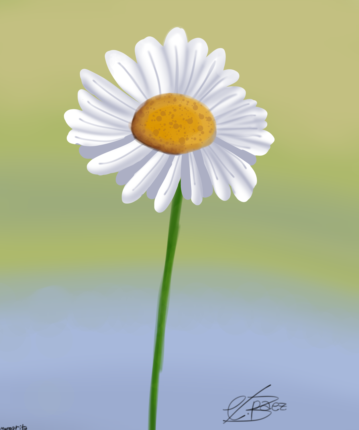 Daisy flower - ibisPaint