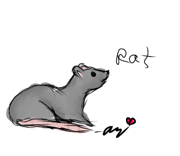 Rat - ibisPaint