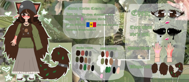 Evelyn lonescu oc ref sheet - ibisPaint