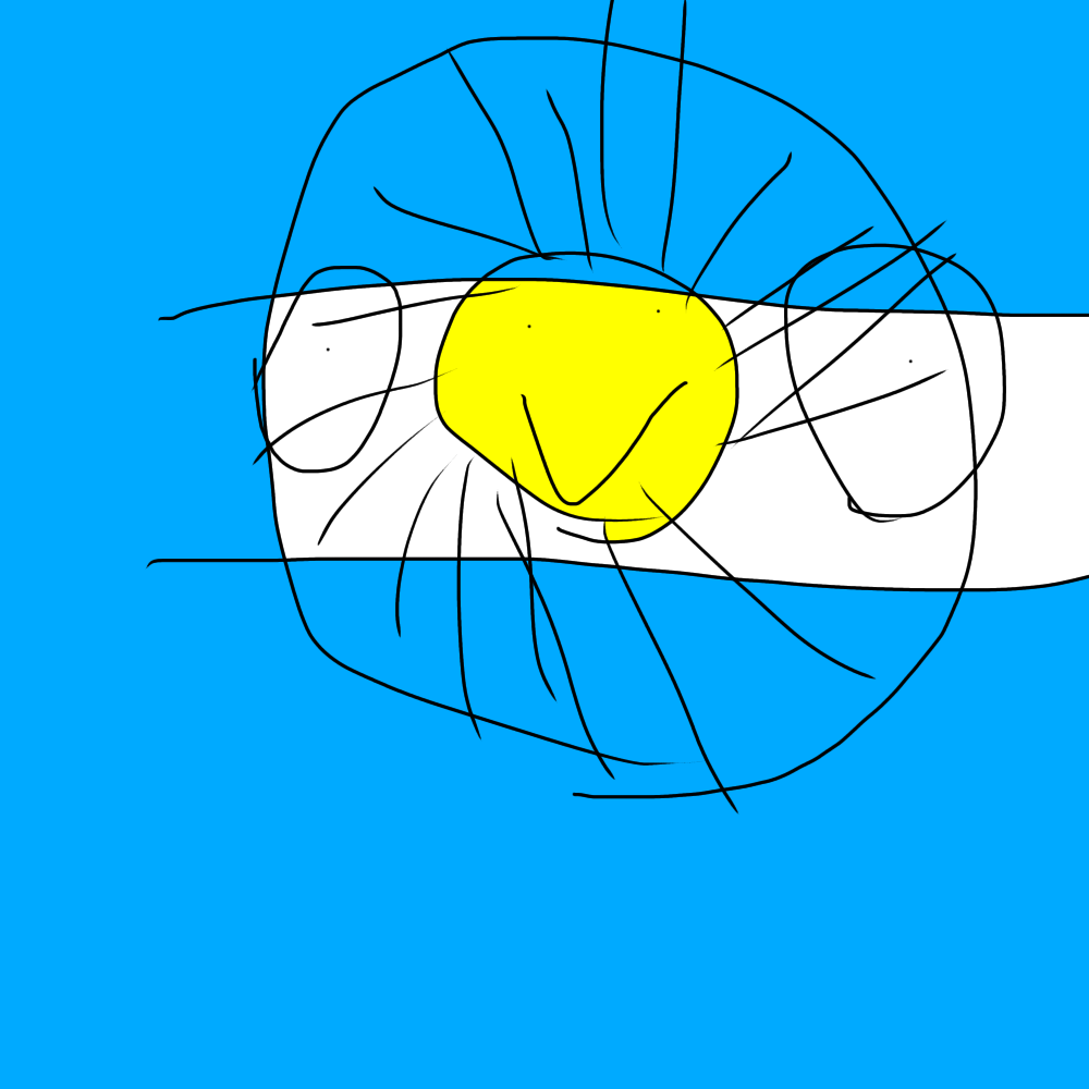 Argentina - ibisPaint