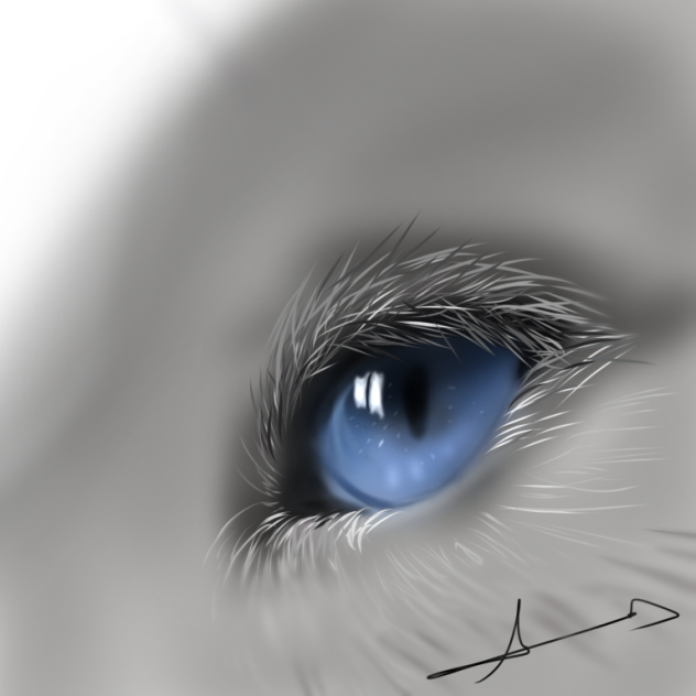 Eye cat - ibisPaint