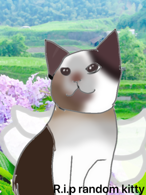 Random kitty steve cash - ibisPaint