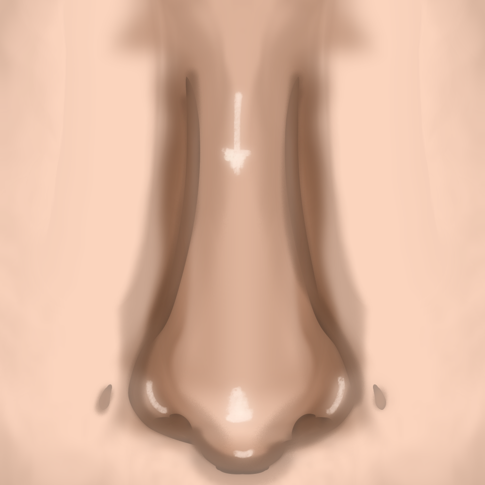 Nose - ibisPaint