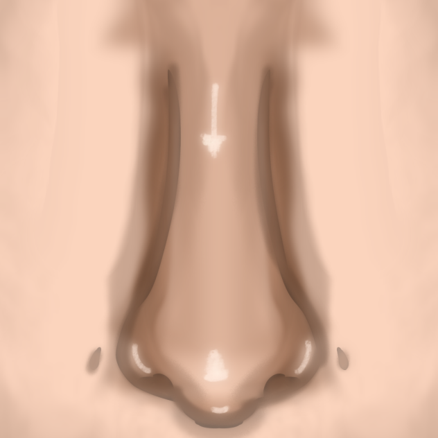 Nose - ibisPaint