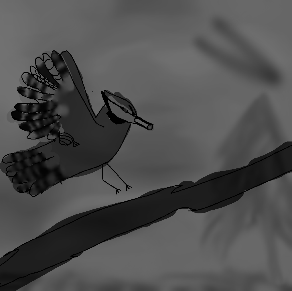 bloq jay - ibisPaint