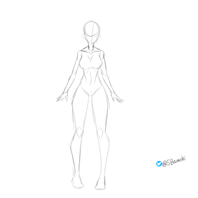 anatomy - ibisPaint