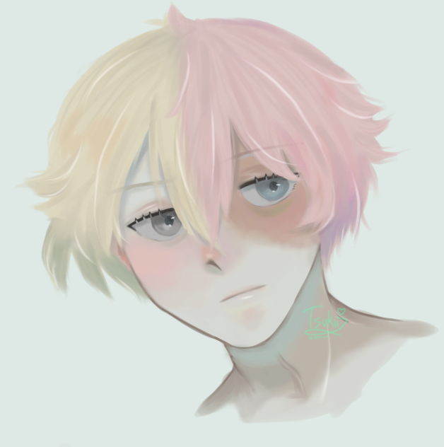 Soft Todoroki.. - ibisPaint