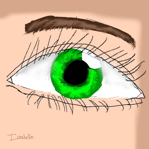 Real eye - ibisPaint