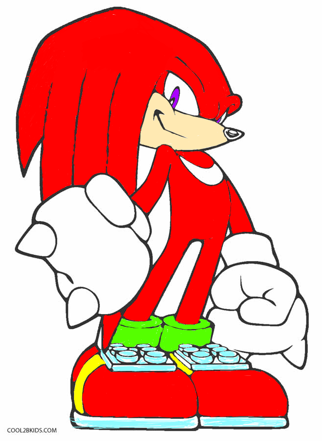 Knuckles - ibisPaint