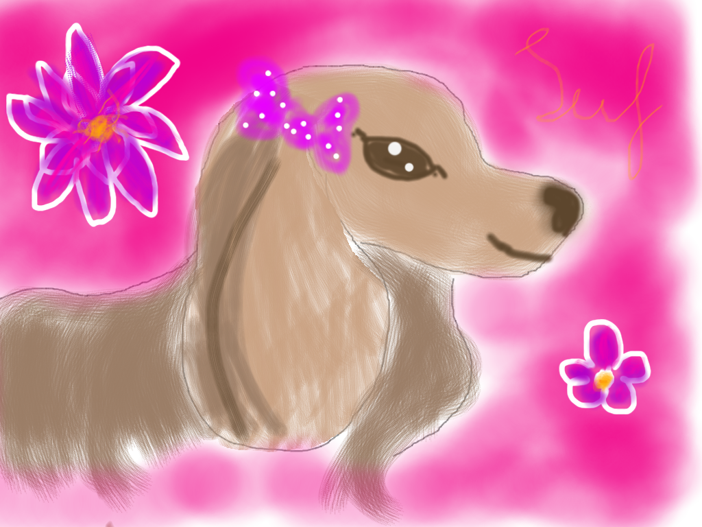 Pinky Dog - ibisPaint
