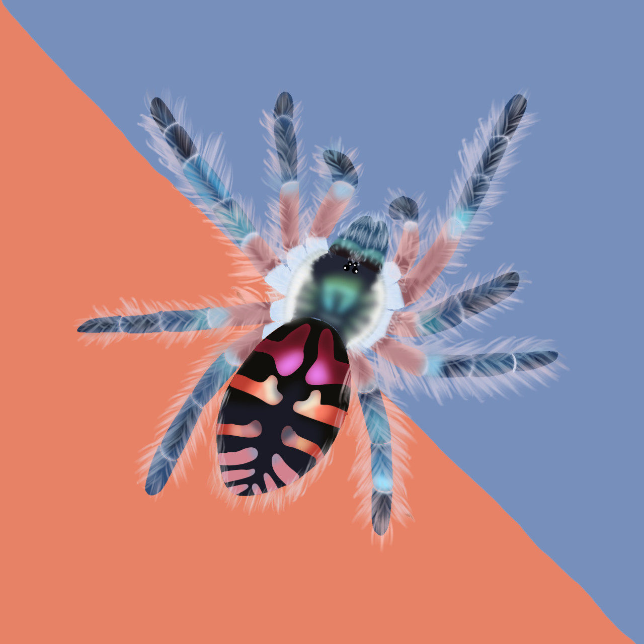 Brazilian jewel tarantula - ibisPaint