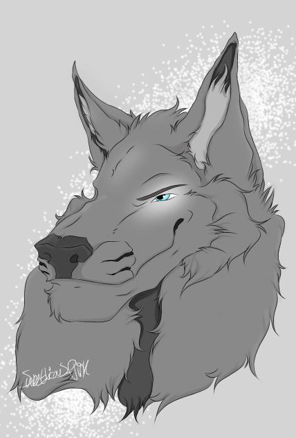 wolf - ibisPaint