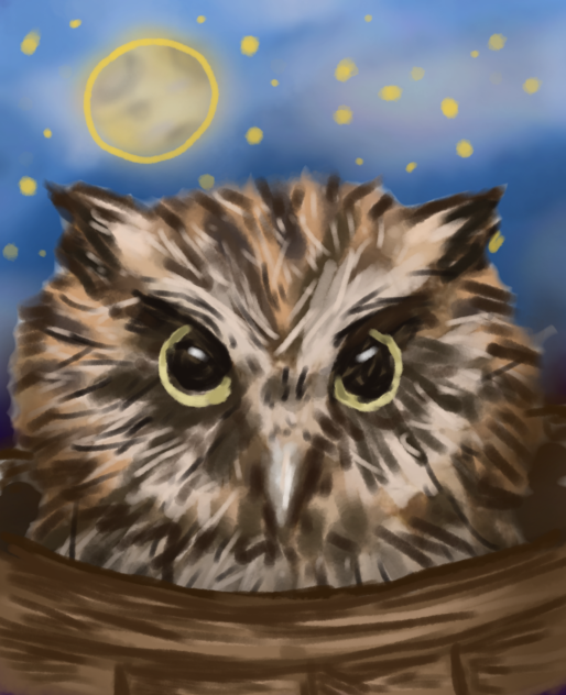 Lil Owl♡ - ibisPaint