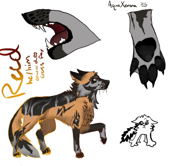 Reed - oc - ibisPaint