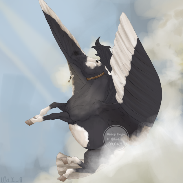 pegasus💕 - ibisPaint