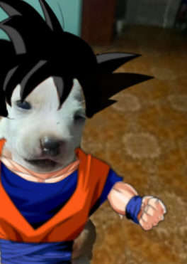 goku perro - ibisPaint